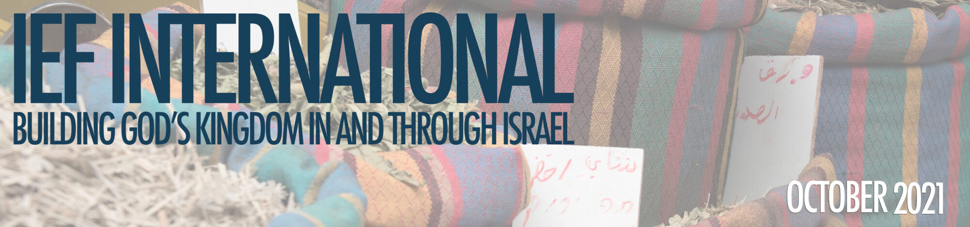 News – IEF International