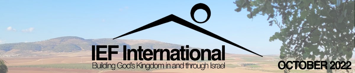 News – IEF International